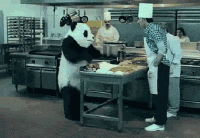 Бамбук GIFs - Get the best gif on GIFER