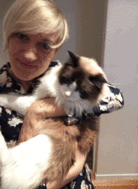 Pest GIFs - Get the best gif on GIFER