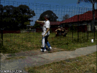 Fences GIFs - Get the best gif on GIFER