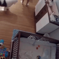 Reflexes GIFs - Get the best gif on GIFER