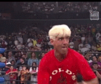 Woooooo GIFs - Get the best gif on GIFER