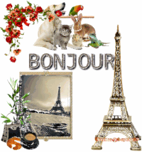 Paris GIFs - Get the best gif on GIFER