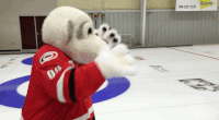 Checkers GIFs - Get the best gif on GIFER