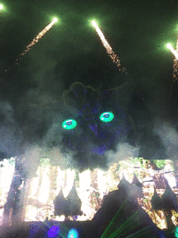 Edc GIFs - Get the best gif on GIFER
