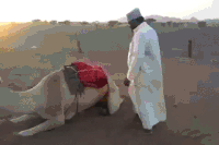 Ffs GIFs - Get the best gif on GIFER