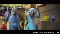 Rio GIFs - Get the best gif on GIFER