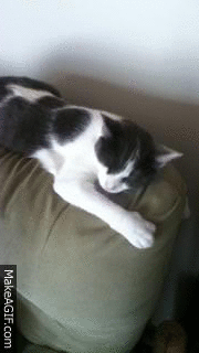 Comfy GIFs - Get the best gif on GIFER