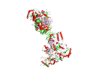 Rt GIFs - Get the best gif on GIFER