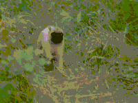 Pothole GIFs - Get the best gif on GIFER