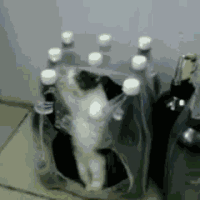 Stuck GIFs - Get the best gif on GIFER