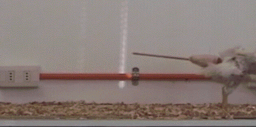 Chickensaursrc GIF - Conseguir o melhor gif em GIFER