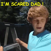 Trusting GIFs - Get the best gif on GIFER