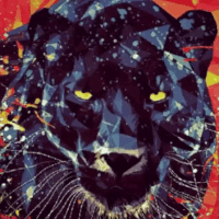 Puma GIFs - Get the best gif on GIFER