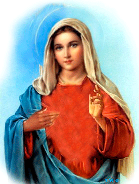 Maria GIFs - Get the best gif on GIFER