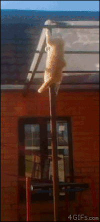 Fireman GIFs - Get the best gif on GIFER