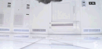 Riskier GIFs - Get the best gif on GIFER