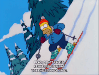 Skier GIFs - Get the best gif on GIFER