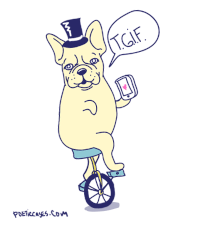 Frenchie GIFs - Get the best gif on GIFER