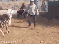 Payback GIFs - Get the best gif on GIFER