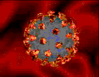 Hiv GIFs - Get the best gif on GIFER