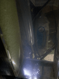 Shrimp GIFs - Get the best gif on GIFER