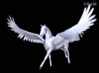 Pegasus GIFs - Get the best gif on GIFER