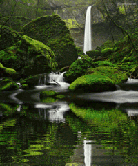 Other GIFs - Get the best gif on GIFER