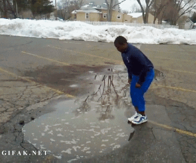 Puddle GIFs - Get the best gif on GIFER