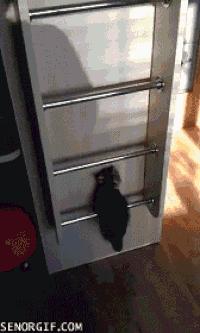 Climbing GIFs - Get the best gif on GIFER