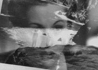 Suspicions GIFs - Get the best gif on GIFER