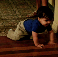 Milestone GIFs - Get the best gif on GIFER