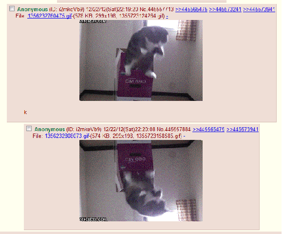 Derrrrrrrr GIFs - Get the best gif on GIFER