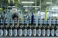 Topper GIFs - Get the best gif on GIFER