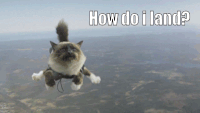 Helping GIFs - Get the best gif on GIFER