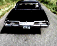 Impala GIFs - Get the best gif on GIFER
