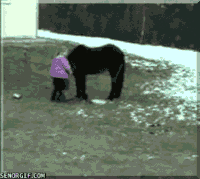 Mounting гифки, анимированные GIF изображения mounting - скачать гиф ...