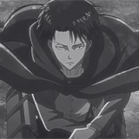 Levi GIFs - Get the best gif on GIFER