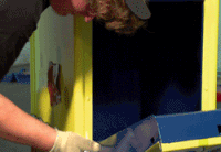 Mailbox GIFs - Get the best gif on GIFER