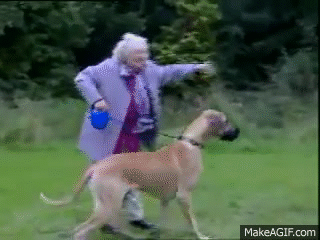 Grandma GIFs - Obtenez le meilleur gif sur GIFER