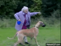 Grandmas GIFs - Get the best gif on GIFER
