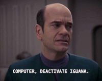 Iguanas GIFs - Get the best gif on GIFER