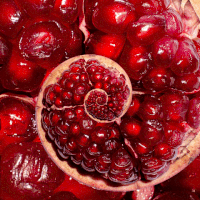 Prolapse GIF - Conseguir o melhor gif em GIFER