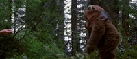 Ewok GIFs - Get the best gif on GIFER