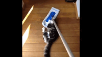 Mop GIFs - Get the best gif on GIFER