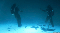 Scuba GIFs - Get the best gif on GIFER