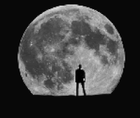 Werewolf GIFs - Get the best gif on GIFER
