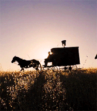 Western GIFs - Get the best gif on GIFER