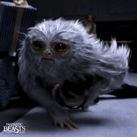 Beast GIFs - Get the best gif on GIFER