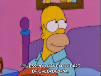 Unsure GIFs - Get the best gif on GIFER