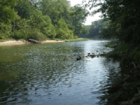 River GIFs - Get the best gif on GIFER